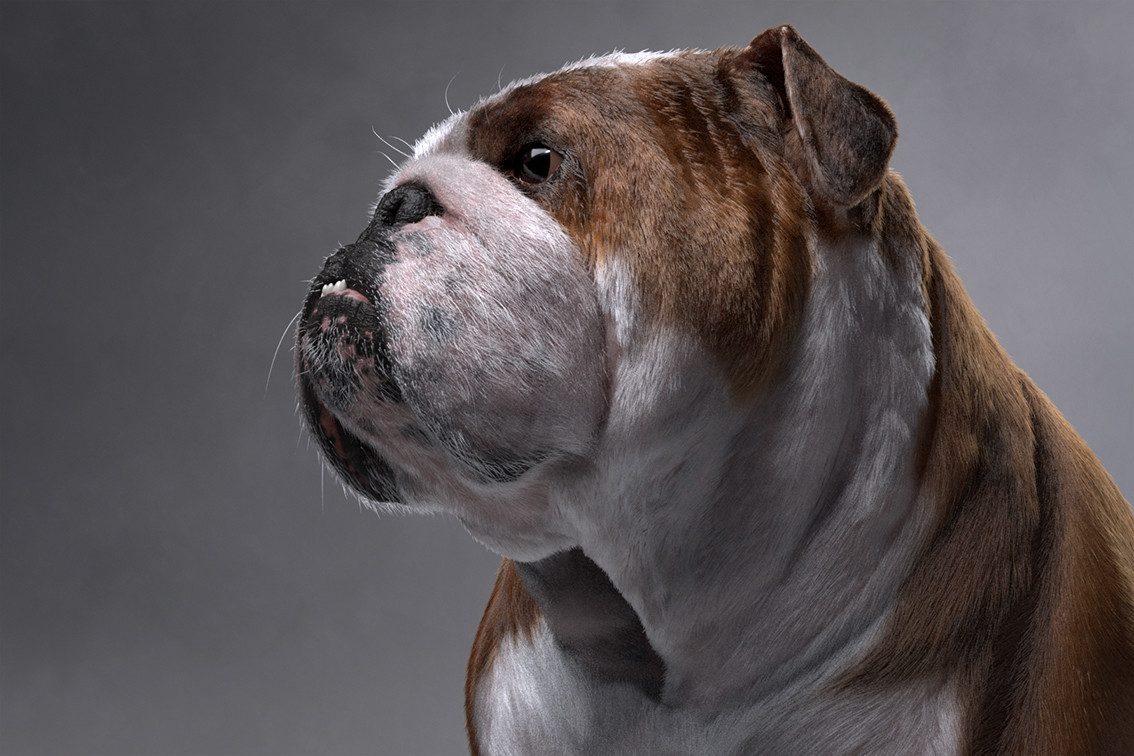 A站-Artstation-Pinterest-CG人创作分享平台-SurfCG