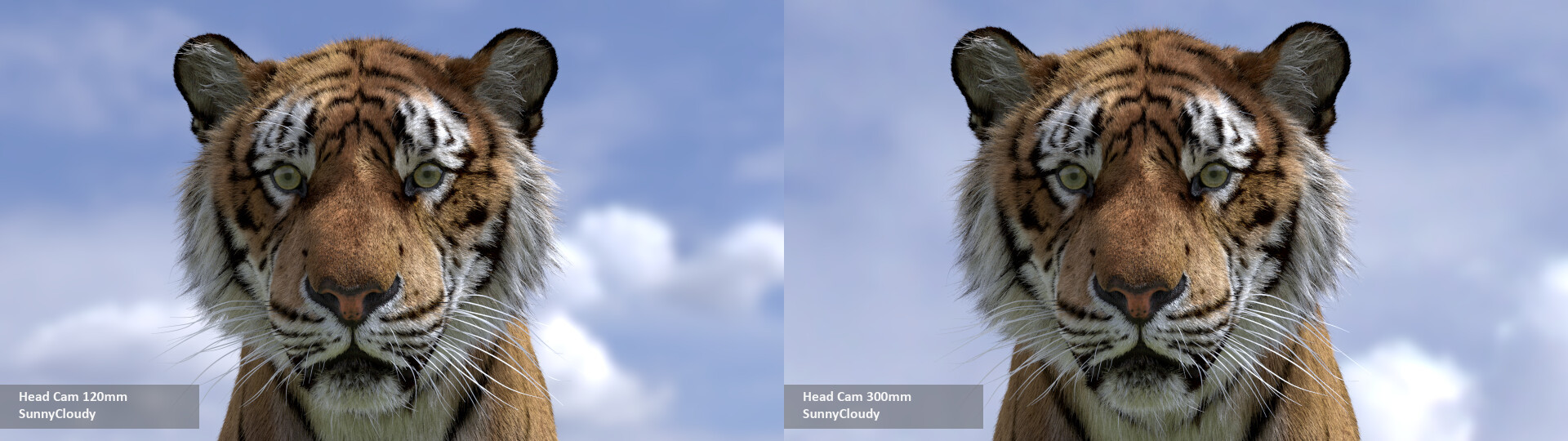 A站-Artstation-Pinterest-CG人创作分享平台-SurfCG