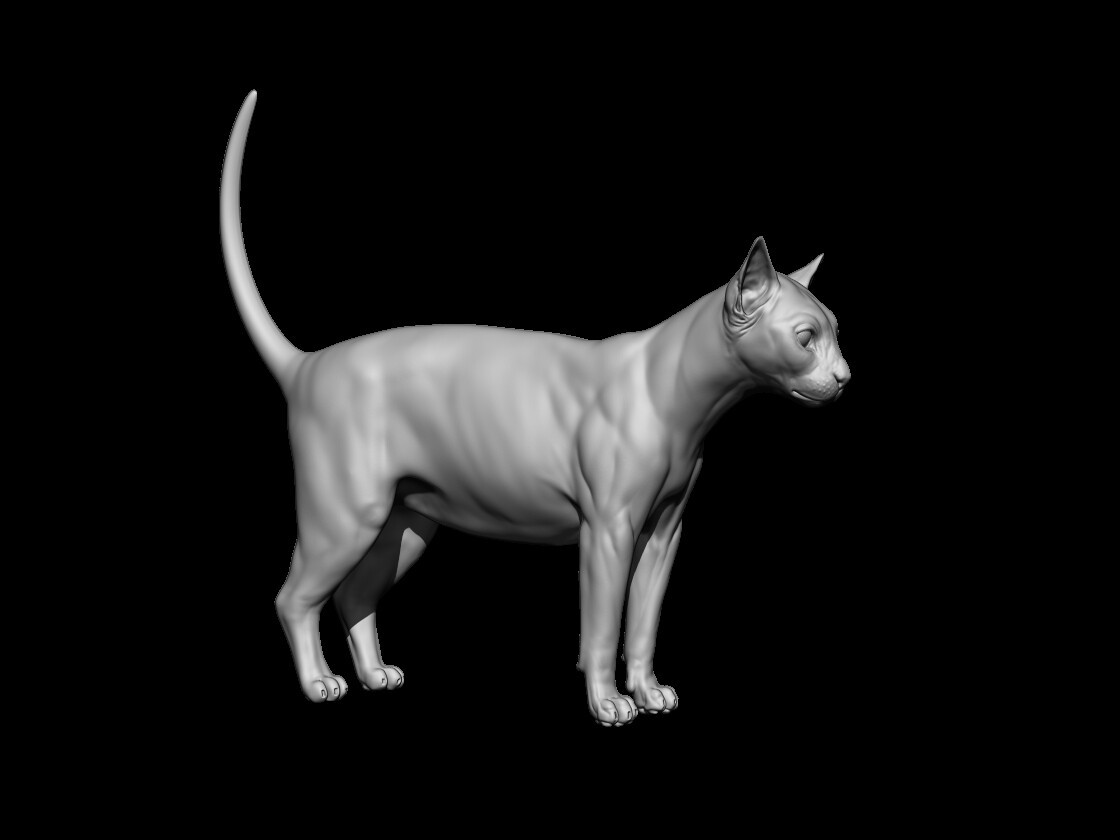 A站-Artstation-Pinterest-CG人创作分享平台-SurfCG