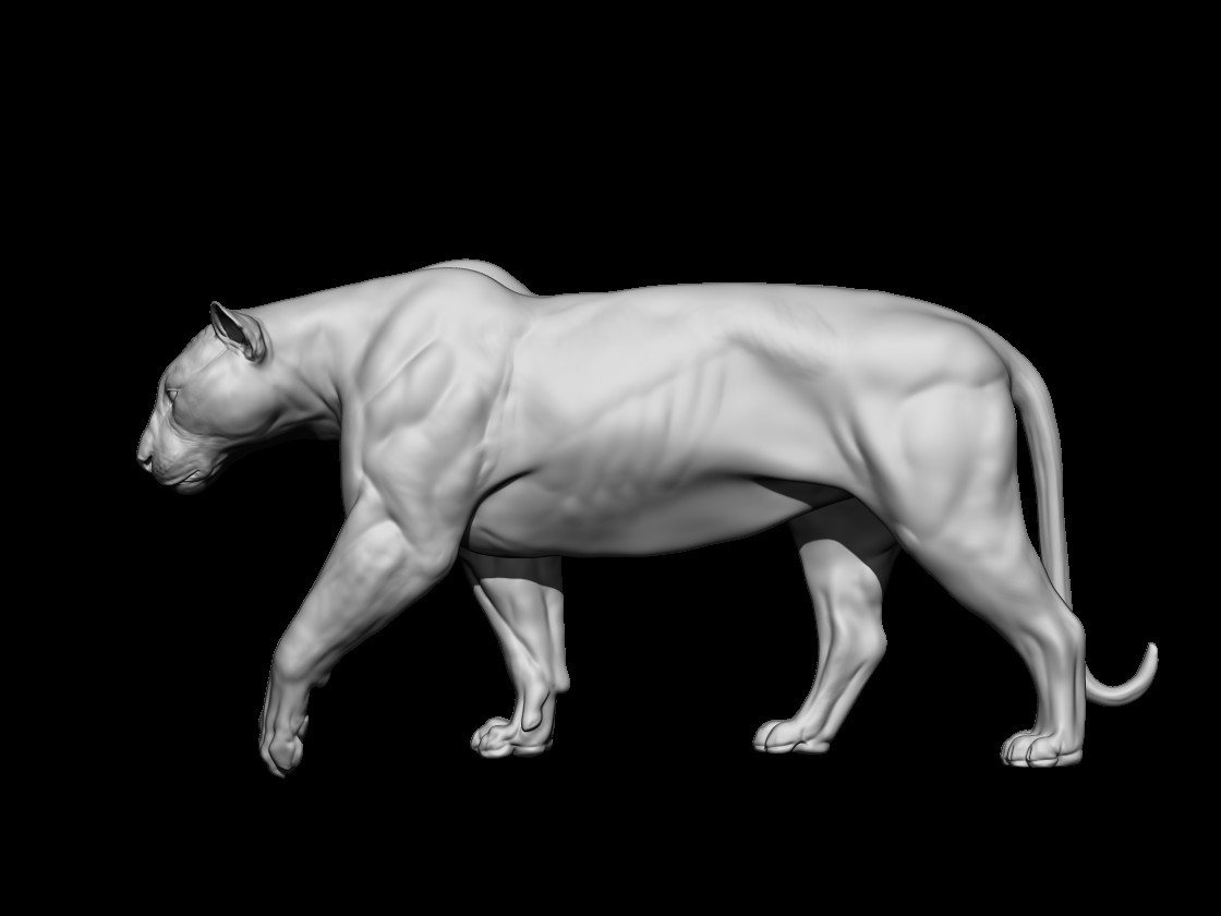 A站-Artstation-Pinterest-CG人创作分享平台-SurfCG