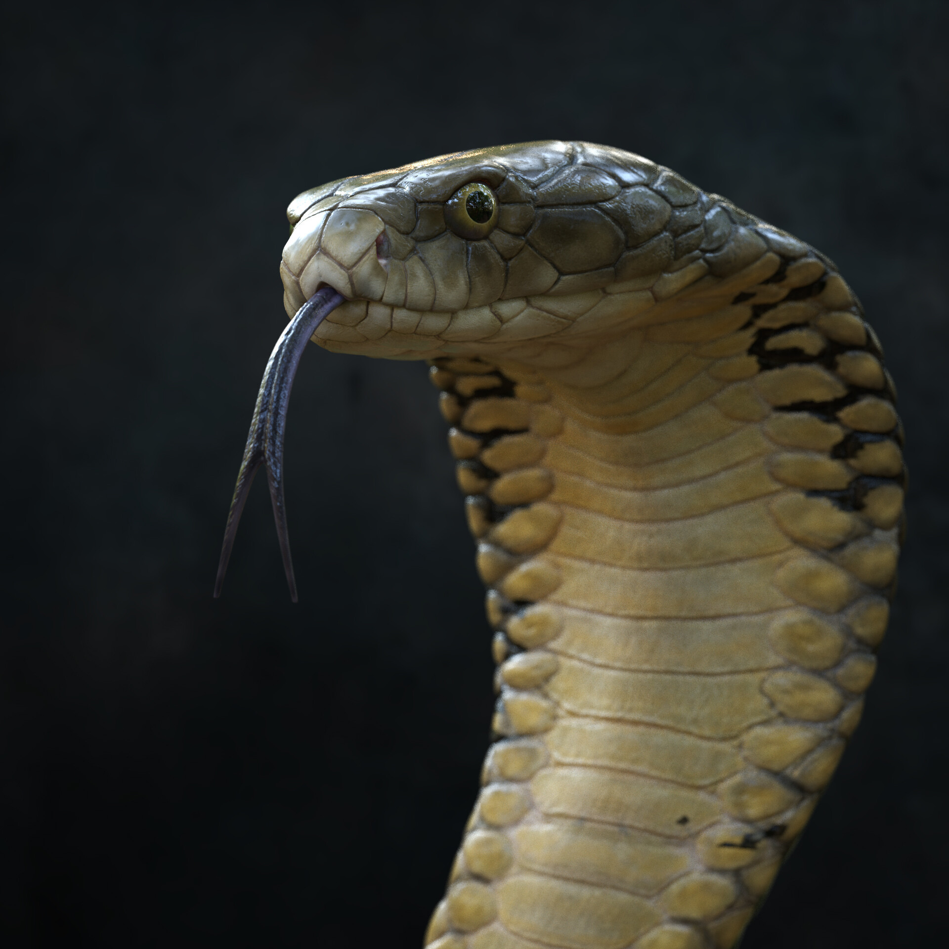 A站-Artstation-Pinterest-CG人创作分享平台-SurfCG