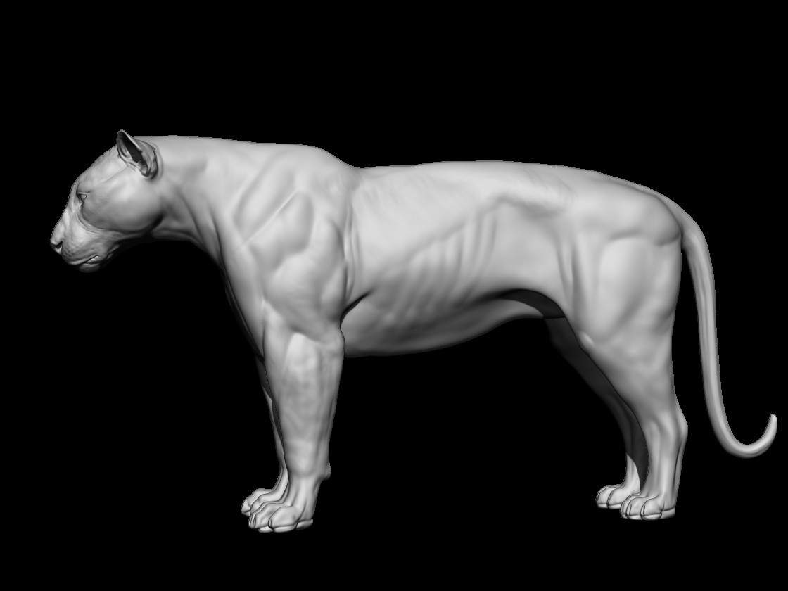 A站-Artstation-Pinterest-CG人创作分享平台-SurfCG