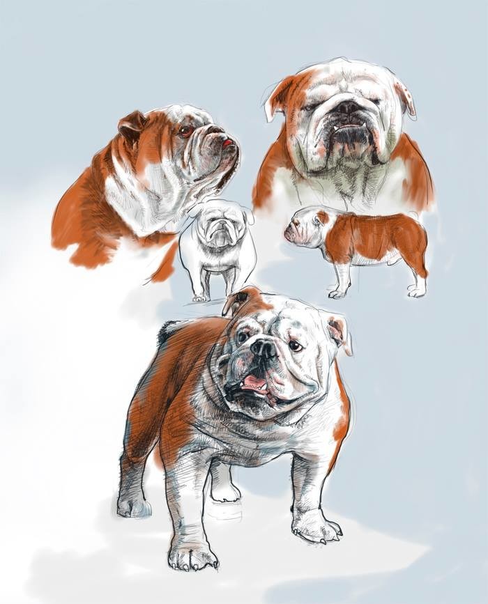 A站-Artstation-Pinterest-CG人创作分享平台-SurfCG